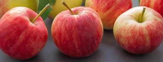 Vitamin B12 Guiden (hvorfor er B12 viktig?) | Helsehverdag.no