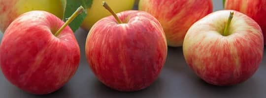 Hvilket næringsinnhold har eple? | HelseHverdag.no